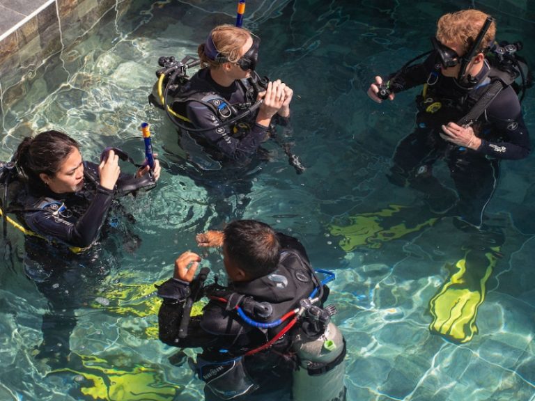 Haka Dive Center | Scuba Dive Center | Panglao, Bohol, Philippines